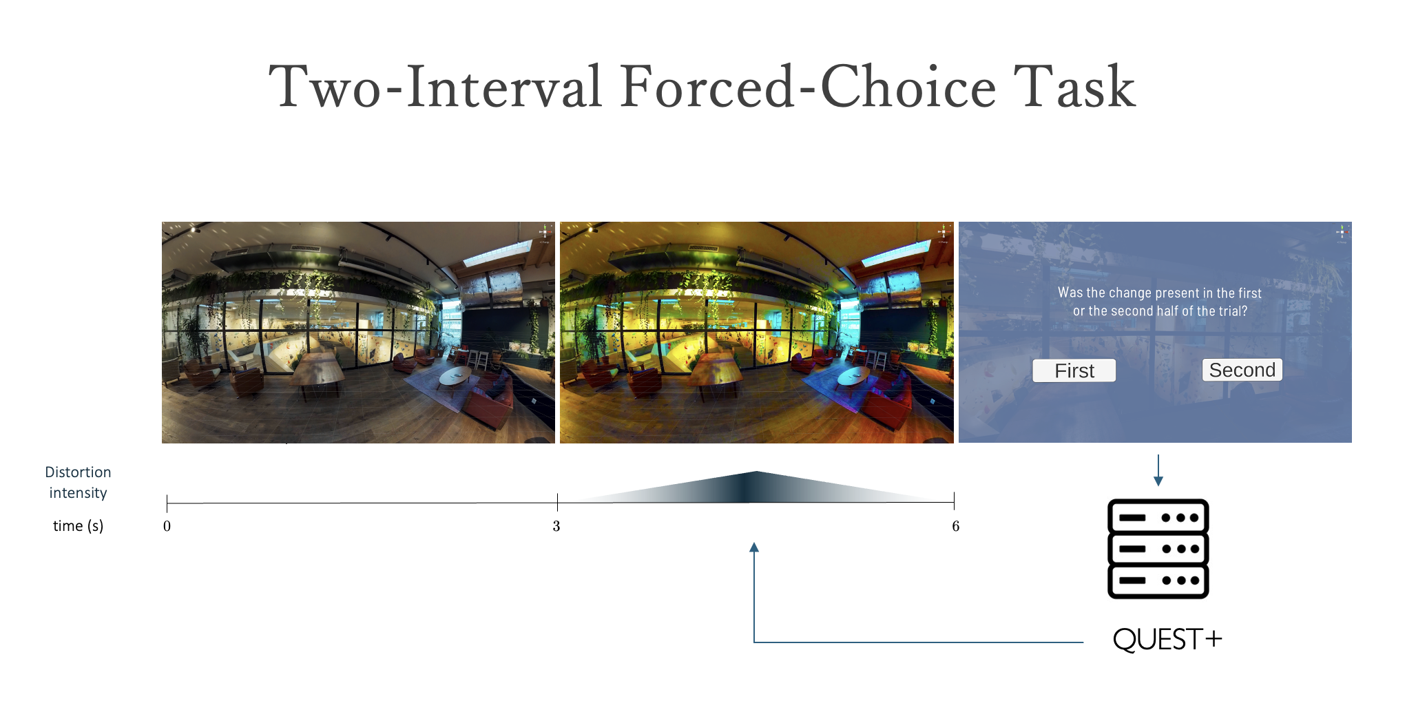 Fabian D. Mueller: Altered Perception in Psychosis